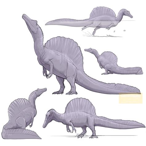 Spinosaurus Drawing Realistic At Herbert Ahner Blog