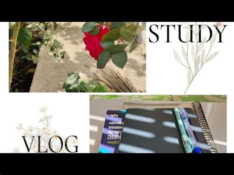 STUDY VLOG MAKING NOTES Studying For Test YouTube