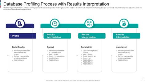 Data Profiling Powerpoint Ppt Template Bundles Presentation Graphics