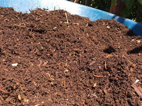 How To Make Your Own Compost Sifter — This Green Lifestyle