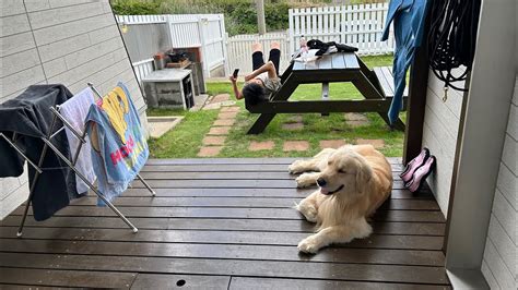 Golden Week With Mugimaru Youtube