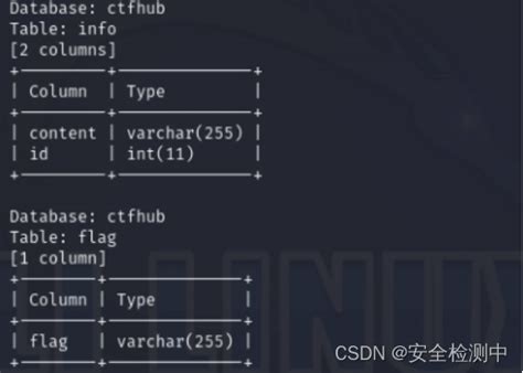 2017 赛客夏令营的web Injection的sql注入2017 赛客夏令营 Web Injection Csdn博客 2017 赛客夏令营的web Injection的sql注入2017 赛客夏令营 Web Injection Csdn博客
