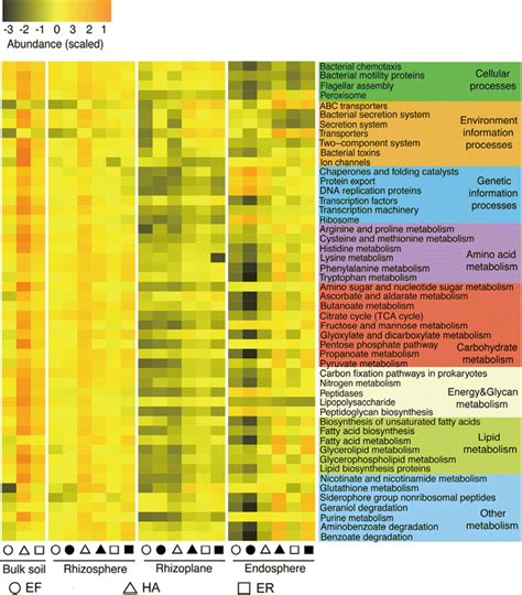 Predicted Individual Functional Categories Of Sedum Alfredii