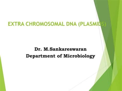 High And Low Copy Number Of Plasmids Ppt