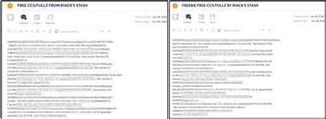 B1ACKS STASH A Comprehensive Analysis Of The Free 1 Million Card Leak