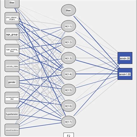 Structure Of The Neural Network Model Used In This Study F Input Download Scientific Diagram