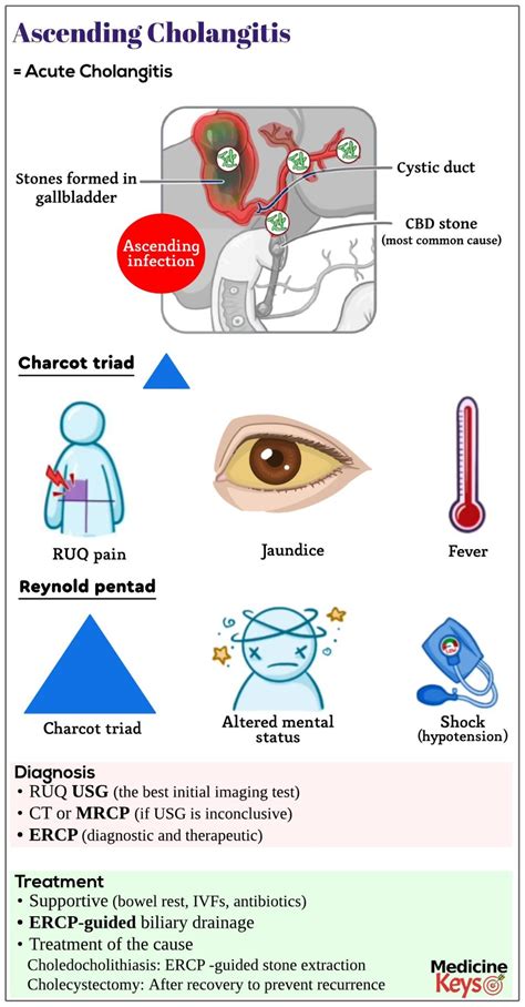 Ascending Cholangitis Acute Cholangitis Medicine Keys For MRCPs