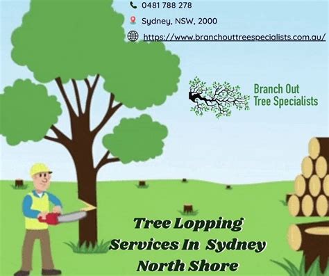 Tree Lopping Sydney North Shore Free Photo On Pixabay