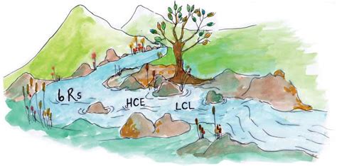 The Streams Faith Health Transformation