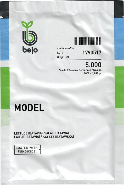 Salata Creata Model 5000 Seminte Tip Batavia Bejo Solarlegumero