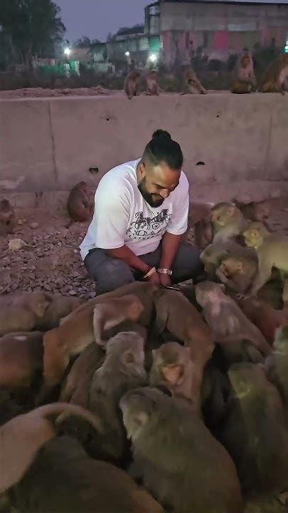 ज भाई ब्रांड Youtube