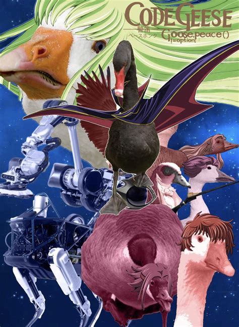 Geese R Codegeass