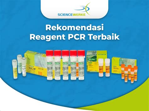 Jual Reagent Pcr Terbaik