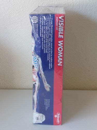 Skilcraft Visible Woman Anatomy Model Kit Sealed Anatomy Physiology