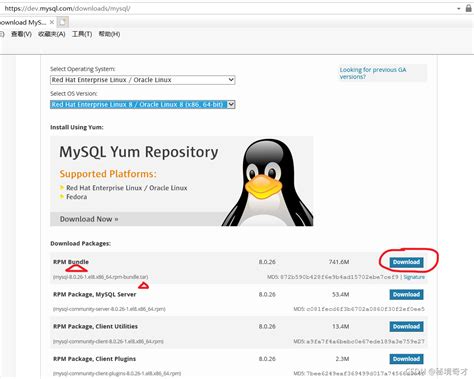 Mysql 免安装版的下载与配置教程mysql免安装版下载暗诺星刻的博客 Csdn博客 Mysql 免安装版的下载与配置教程mysql免安装版下载暗诺星刻的博客 Csdn博客