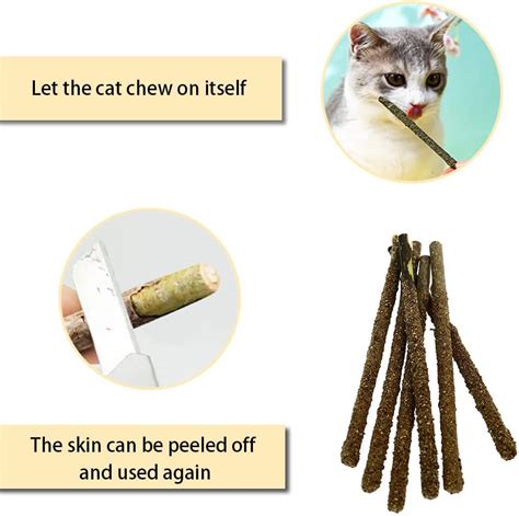 6 Pcs Cat Chew Sticks Cat Catnip Sticks Natural Catnip Toys Gall Fruit Stick Cat Teeth Nip For