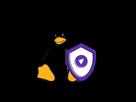 Download The Best VPN For Linux With GUI In 2025