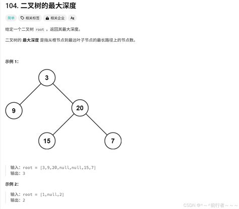代码随想录算法训练营day11（二叉树） Csdn博客