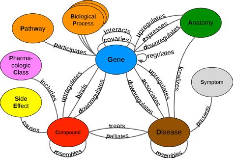 Figure 1 From Constructing Knowledge Graphs And Their Biomedical Applications Semantic Scholar