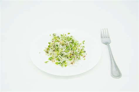 육즙이 많은 신선한 향기로운 건강한 샐러드 라이브 마이크로 그린 아침 식사 건강한 식생활에 대한 스톡 사진 및 기타 이미지 건강한 식생활 고수 녹색 Istock