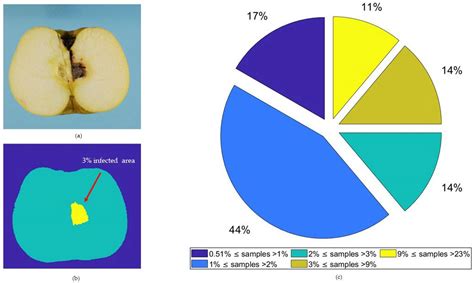 A Novel Hyperspectral Method To Detect Moldy Core In Apple Fruits