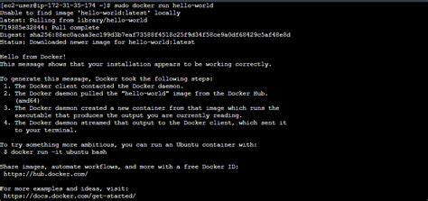 Wait What Gui Testing Inside Docker Container