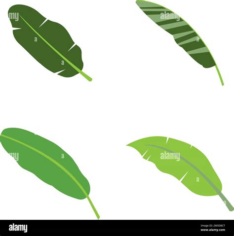 Banana Leaf Icon Stock Vector Illustration Logo Design Stock Vector
