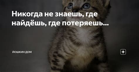 Никогда не знаешь где найдёшь где потеряешь Йошкин Дом Дзен