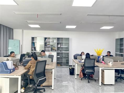 Home Oxygen Generator Special Use Oxygen Molecular Sieve 13x Hp For Air