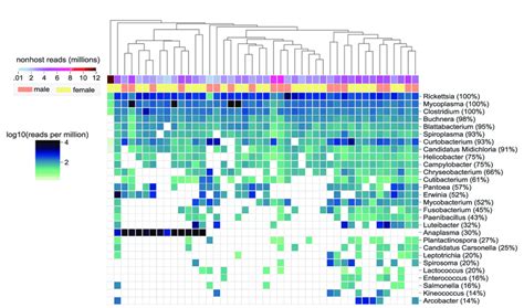 Bacterial Genera Detected In Ixodes Pacificus Heatmap Displaying Reads Download Scientific