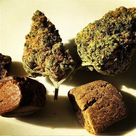 How To Choose A Hash Variety