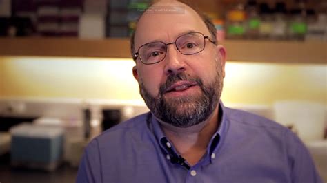 Restriction Endonucleases Neb