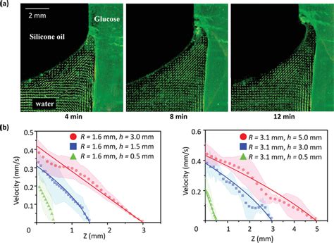 Flow Field A The Low‐concentration Liquid Flows Up Along The