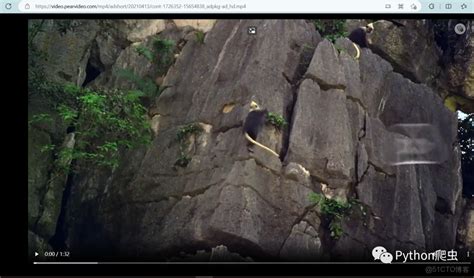 Python爬虫爬取视频案例，30行代码教你爬取下载保存梨视频python爬虫案例的技术博客51cto博客