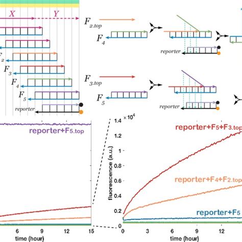 Spurious Displacement Pathways And Kinetics Of Spurious Interactions At Download Scientific