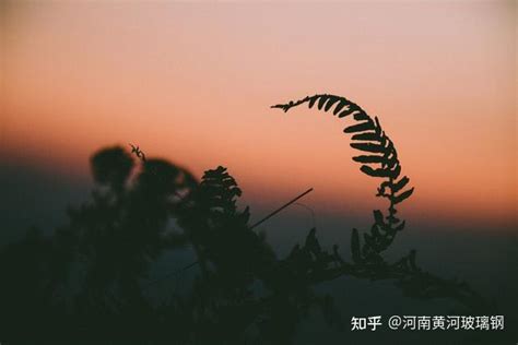 三观正的成熟文案句子 知乎