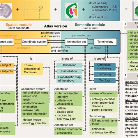 Atom Brain Atlas Elements Relations And Metadata 565 566 Download Scientific Diagram