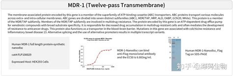 新品来袭 Synthetic Nanodisc全长多跨膜蛋白系列 知乎