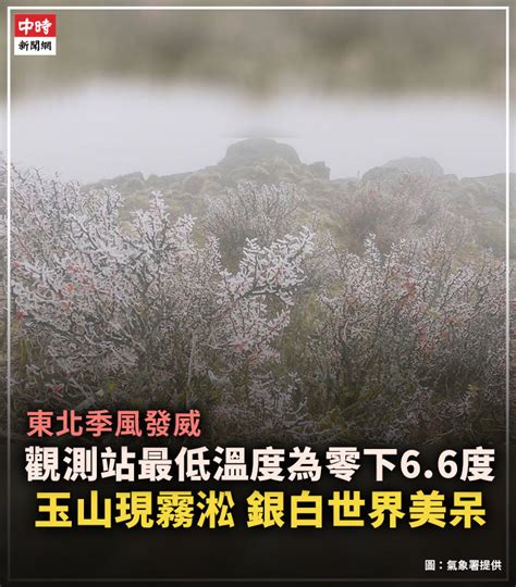 中時新聞網 東北季風發威，玉山北峰今晨最低溫零下66度，雖未下雪，但樹梢枝葉結滿霧淞，加上濃霧，變身成銀白世界，