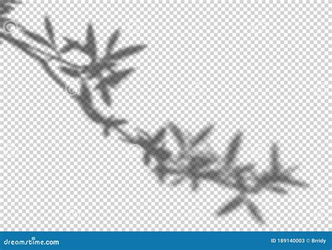 Tree Overlay Stock Illustrations 9053 Tree Overlay Stock