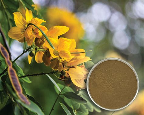 Garanti Kimya Your Global Solution Partner