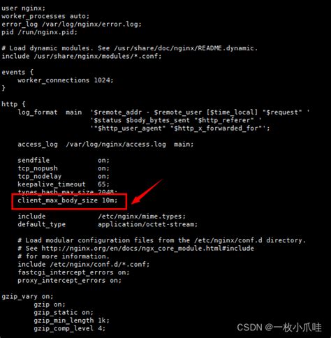 解决 413 Request Entity Too Large（请求实体太大）413请求 Entity Too Large Csdn博客