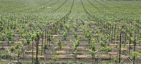 Scala Gradle Android Introduction By Iñaki Villar Medium