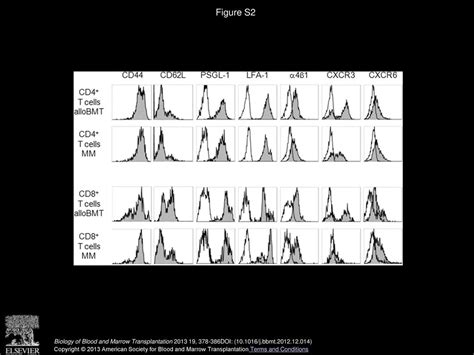 Homing Characteristics Of Donor T Cells After Experimental Allogeneic Bone Marrow