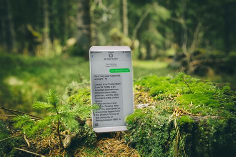 Program An Sms Bot Using Python And Twilio Make