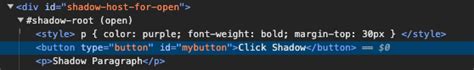 Interacting With Shadow Dom The Playwright Way Testing Mavens Article