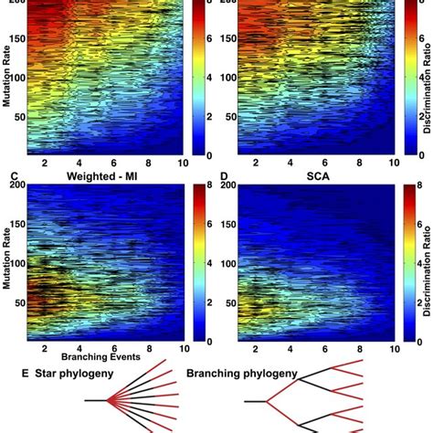 Comparison Of Algorithm Performance On Simulations Of Molecular