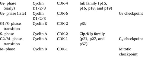 The Majorly Involved Cyclins And Cyclin Dependent Kinases CDKs At Download Scientific Diagram
