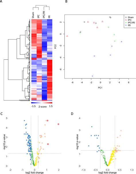 Microrna Profiling Microarray Hybridisation Array Profiling Of